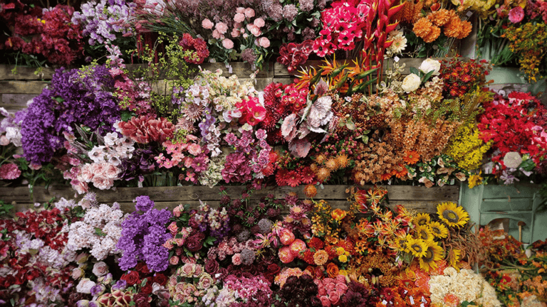 Alle beoordelingen voor Marcel de Wit Bloemen en Planten